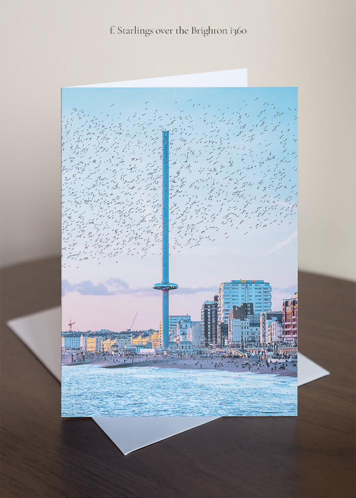 Beautiful Brighton Greeting Cards - Starling Murmuration, Royal ...