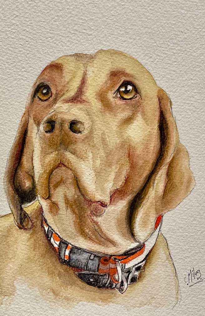 Catherine Miles - an Award-Winning Fine Artist