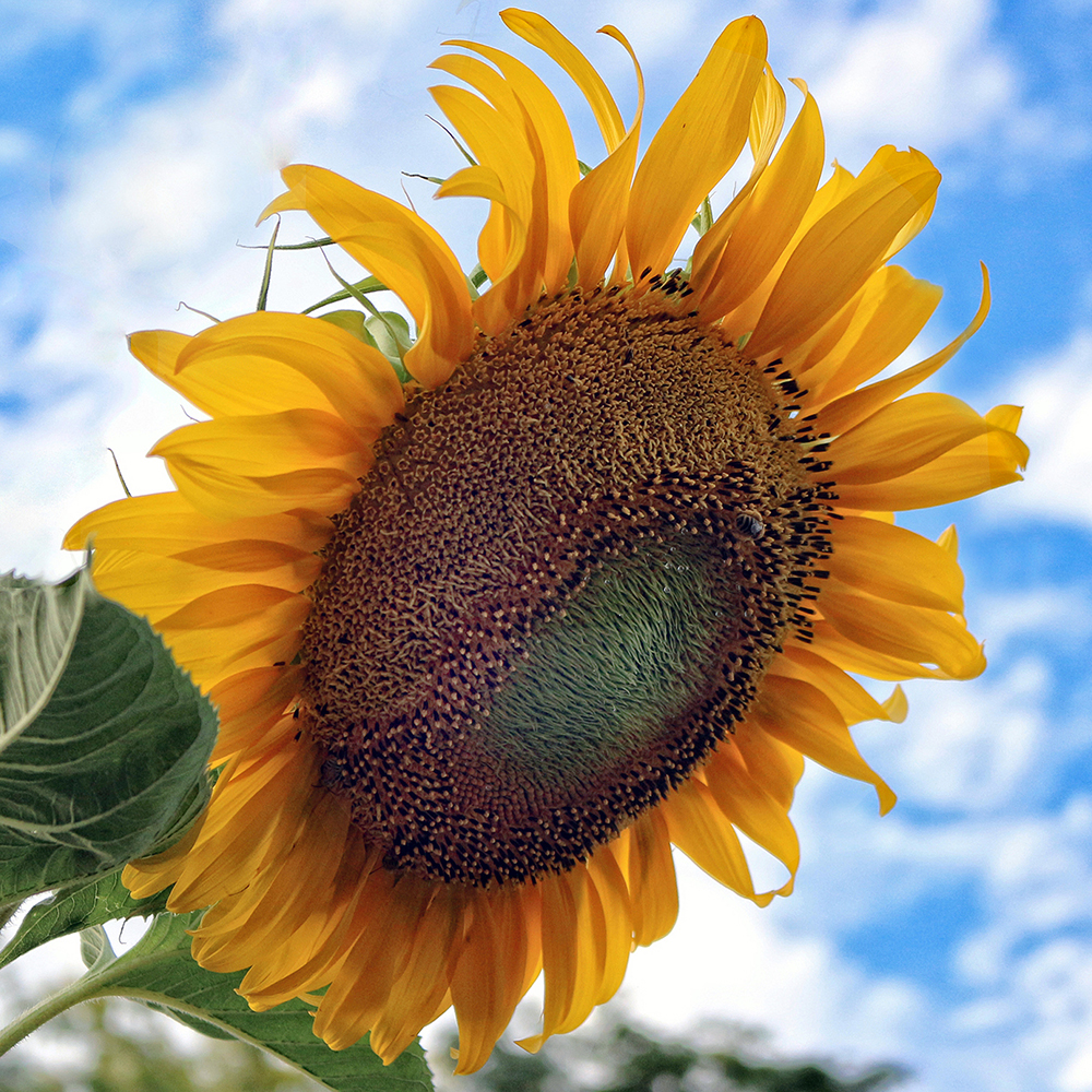 Melanie Rainey Photography Home