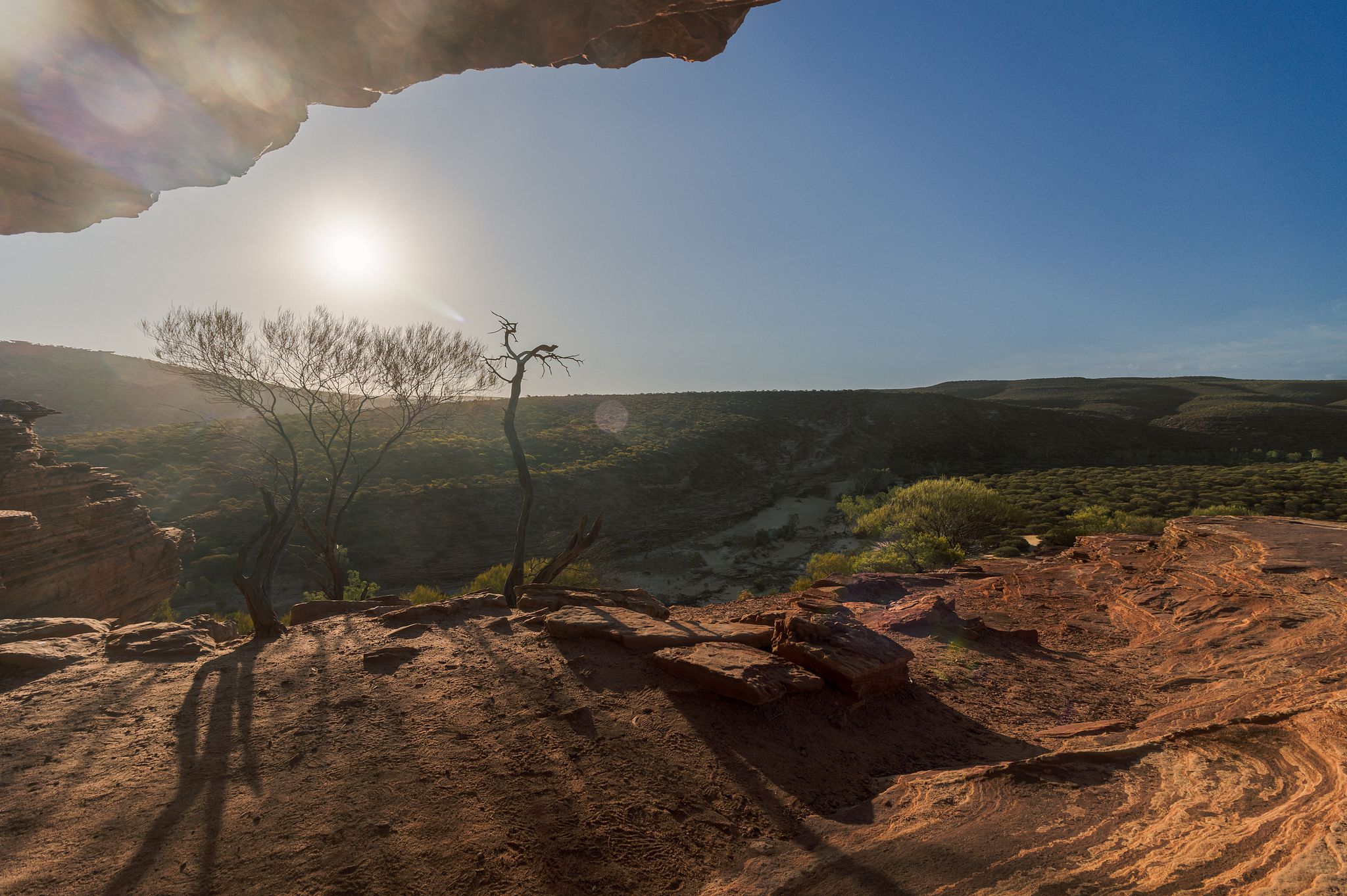 Portfolio | Jordan Hall