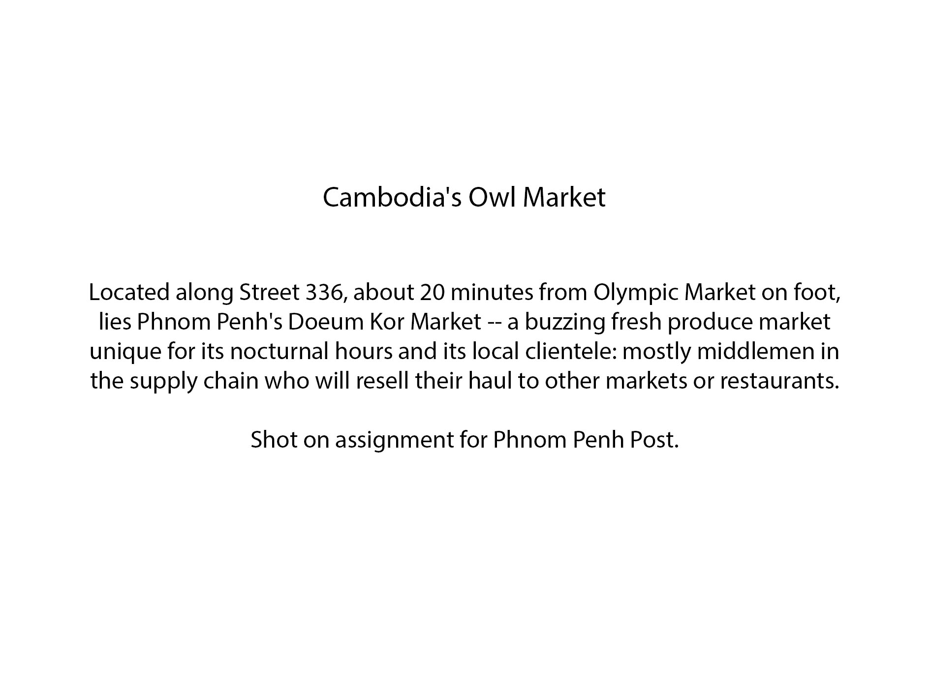 Cambodia's Owl Market | Sahiba Chawdhary