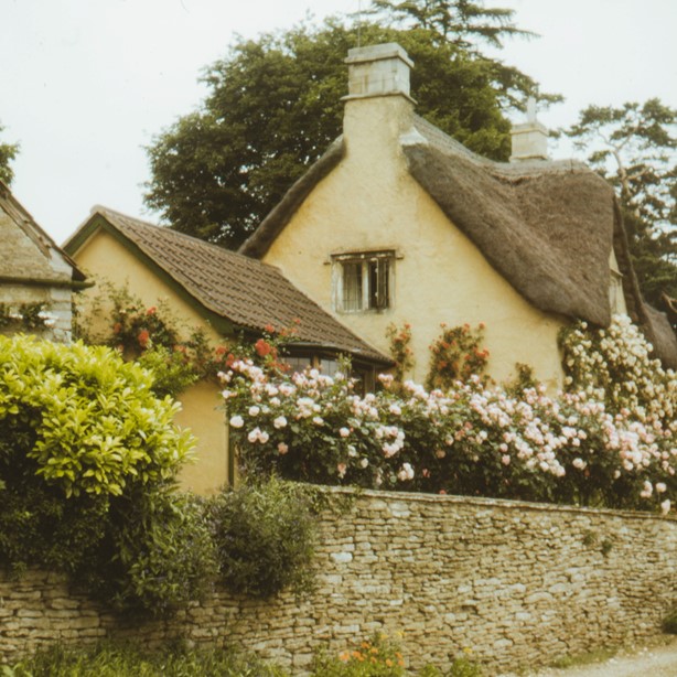 Trends, Explained: Cottagecore