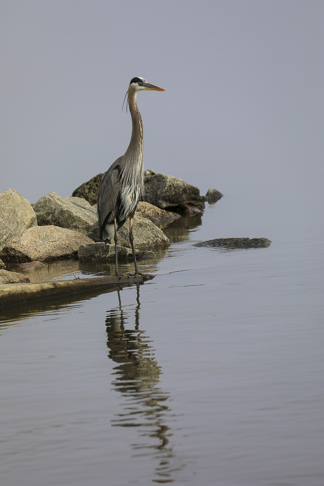 Coastal images by D Rex Miller Photography