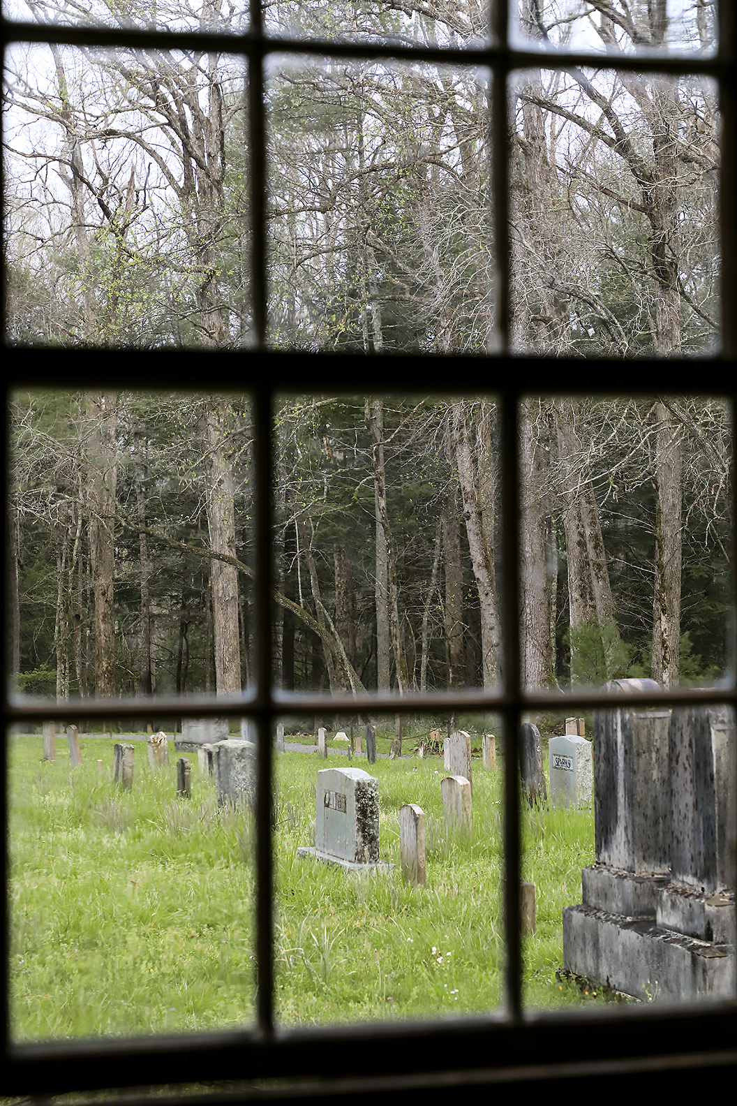 Great Smokies by D Rex Miller