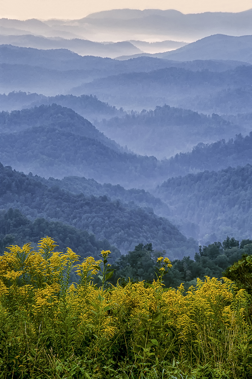 D Rex Miller Photography | Images of Natures Design