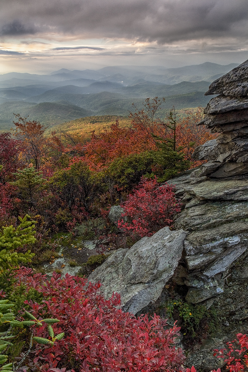 D Rex Miller Photography | Images of Natures Design