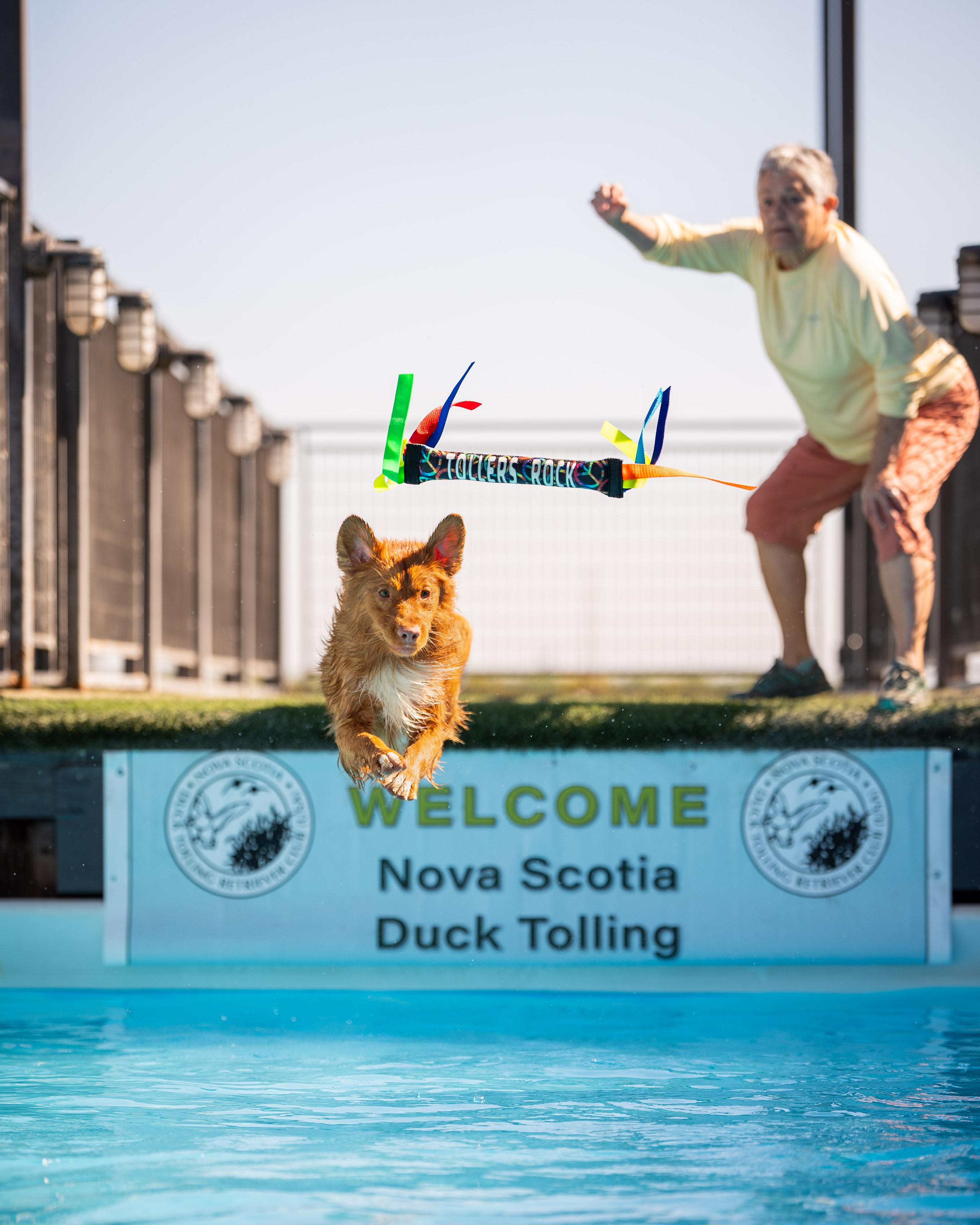 NSDTR 2024 (USA) National Dock Diving