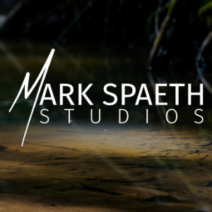 Mark Spaeth Studios