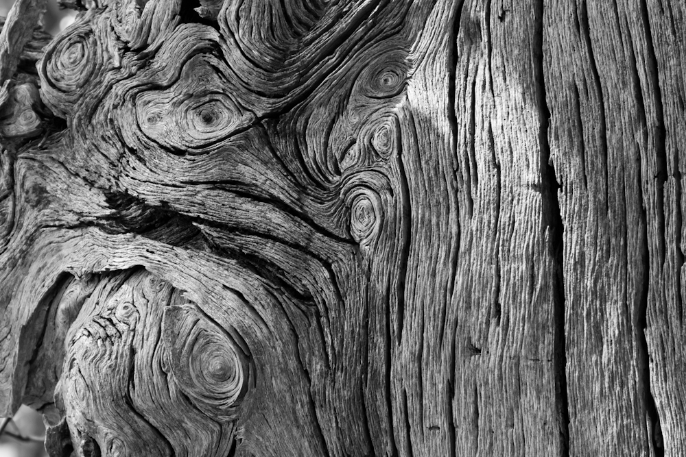 Misc. Photography by Kim Hadley