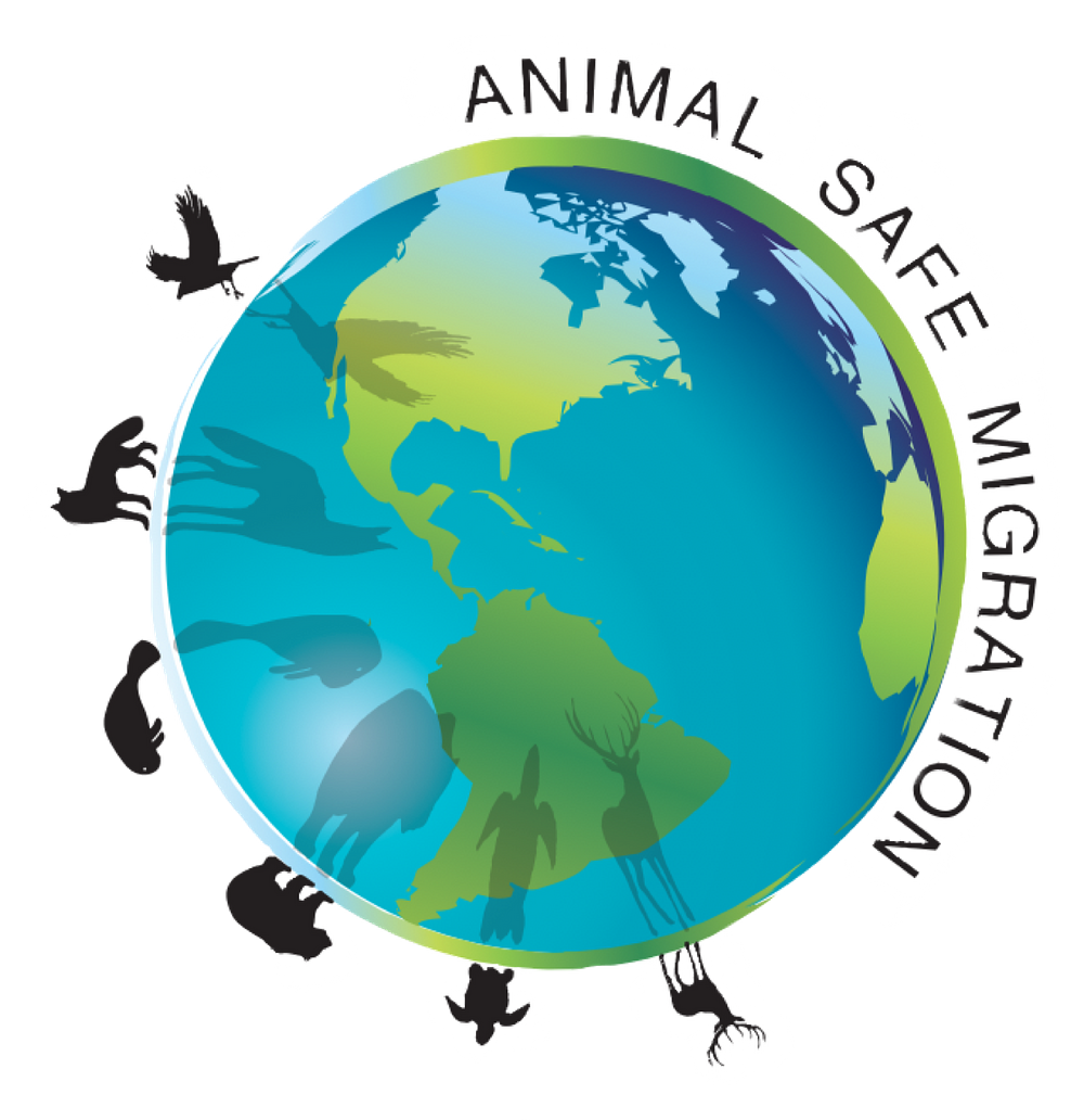 Animal Safe Migration