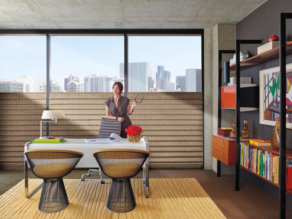 Hunter Douglas Case Study