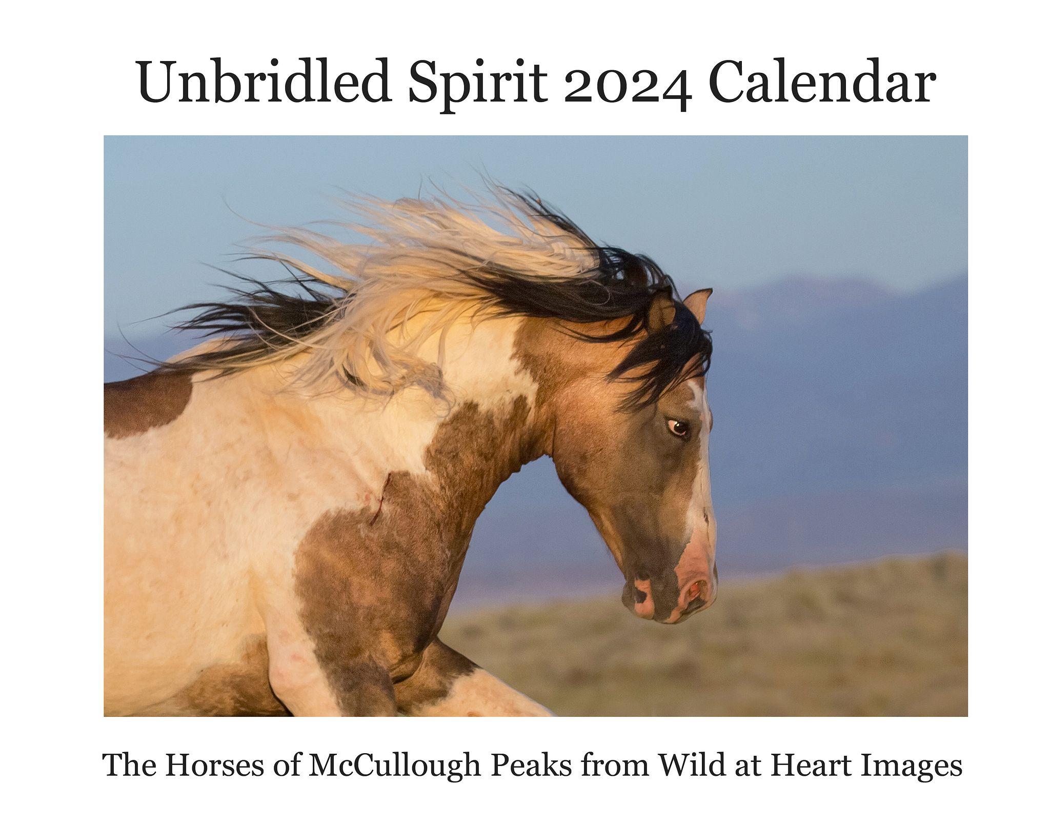 2023 McCullough Peaks Wild Horse and Washakie Calendars for Sale