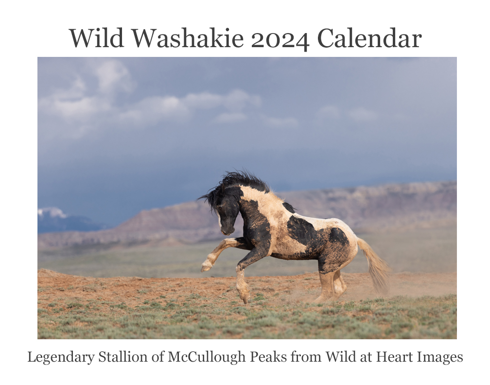 2023 McCullough Peaks Wild Horse and Washakie Calendars for Sale