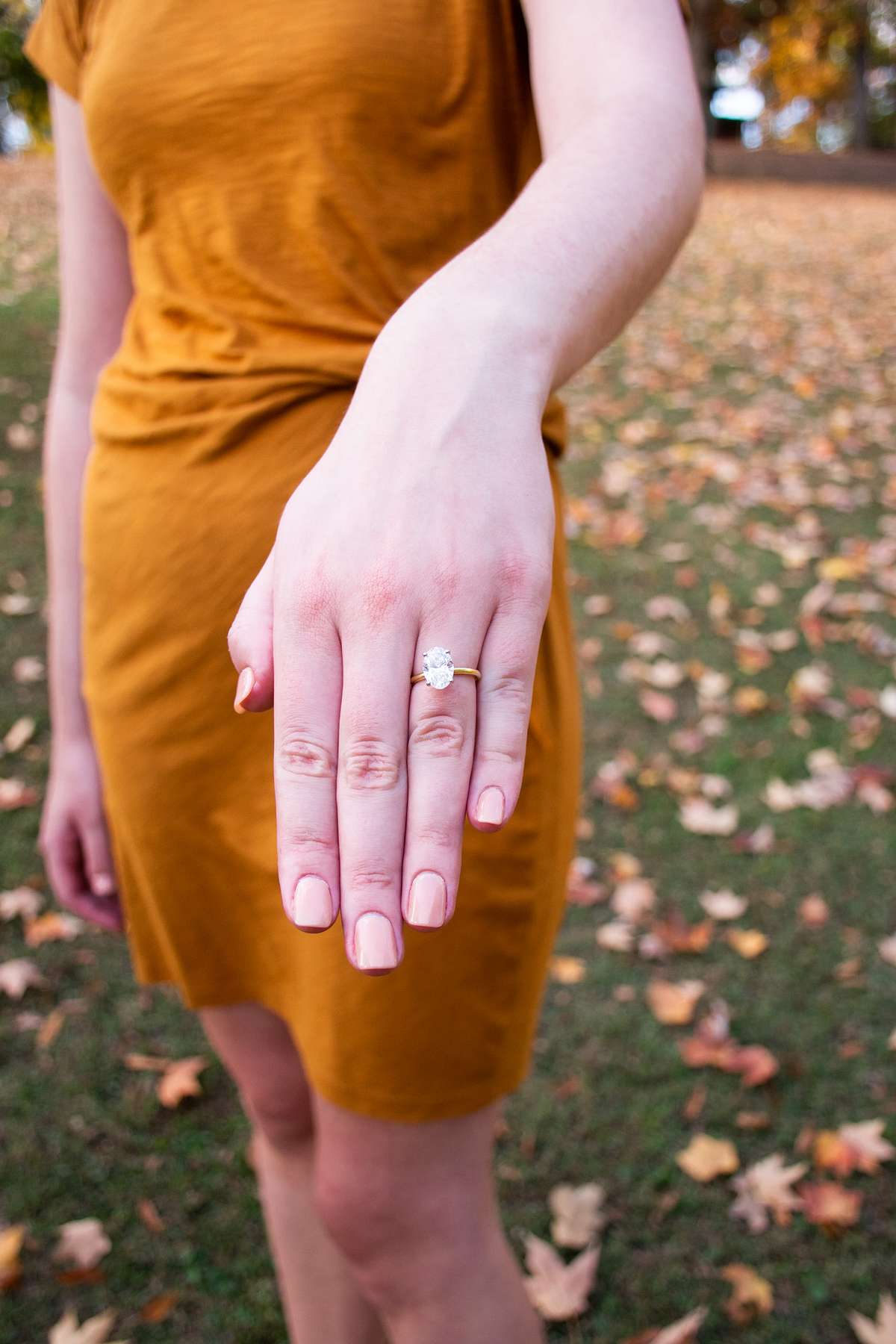 How To Plan Your Proposal