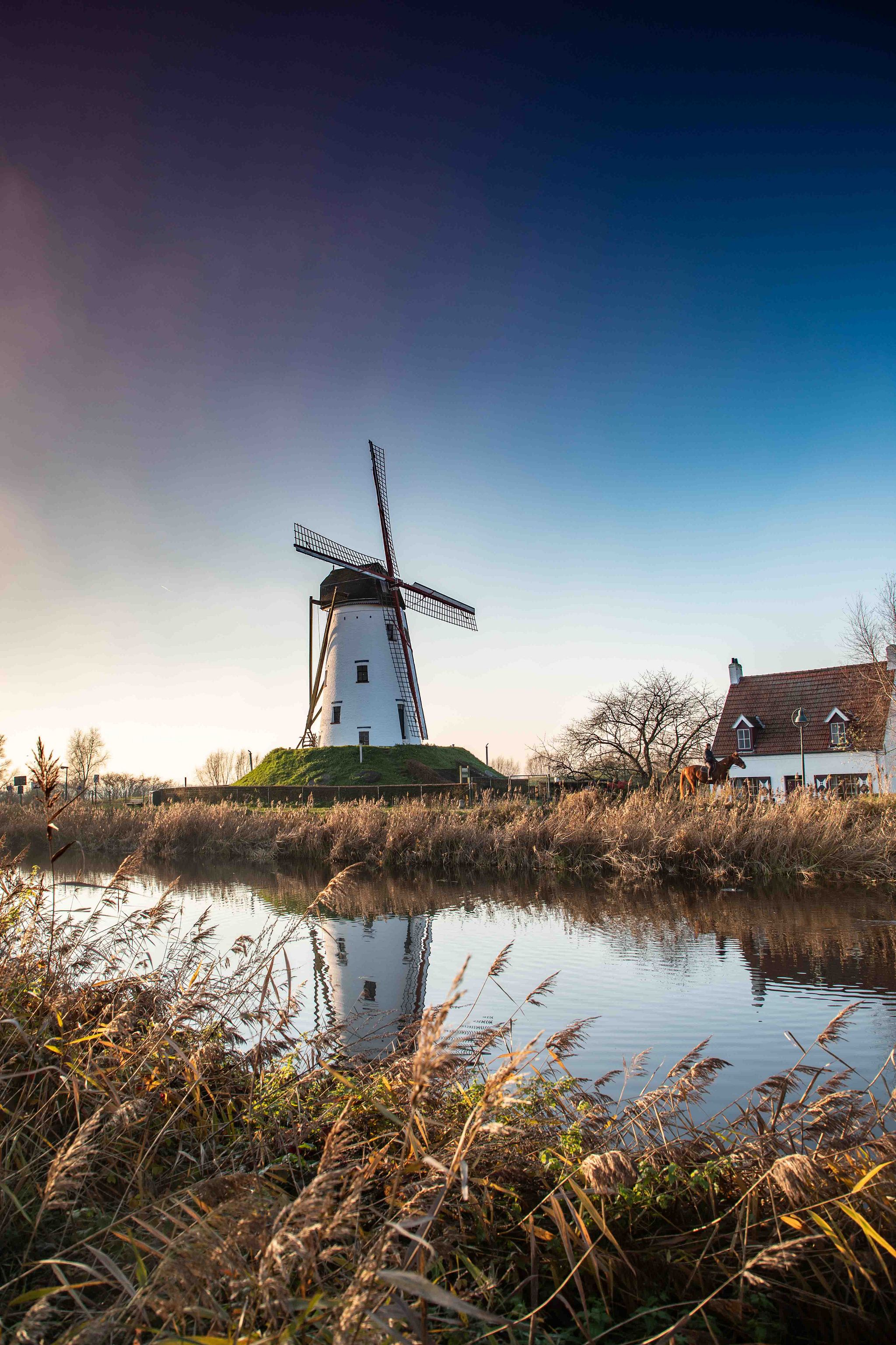 David Neve Photography Artist