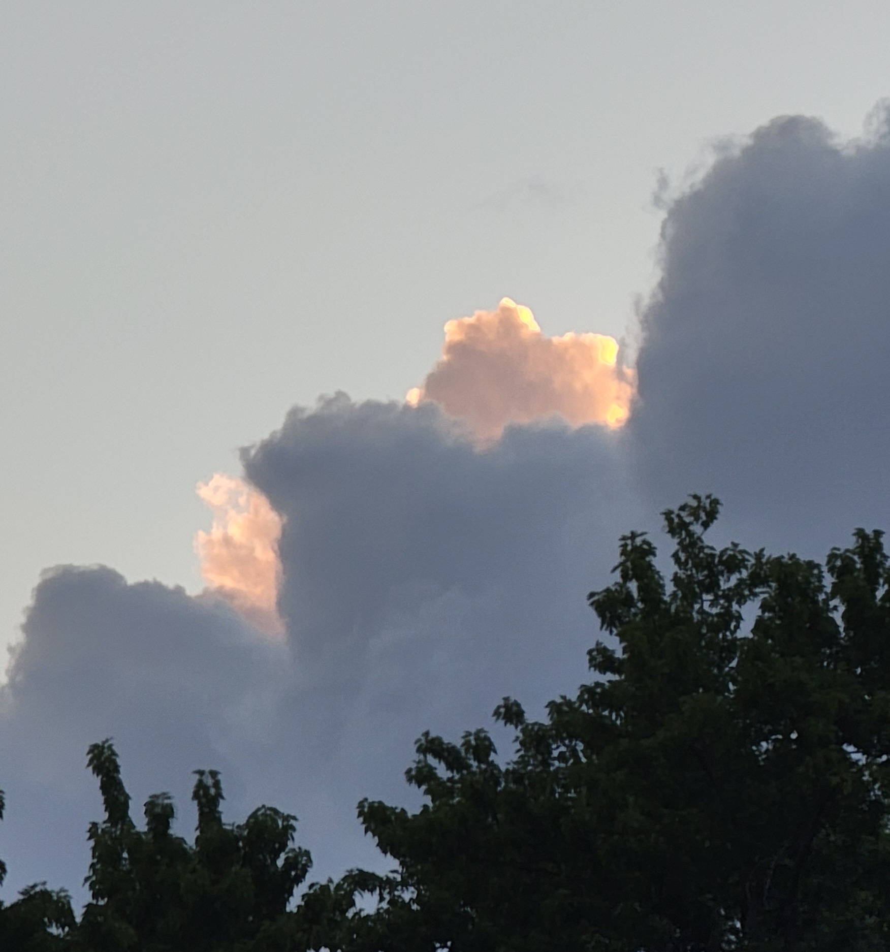 Skillfully Curled Photography Photos by Patsy Rahn