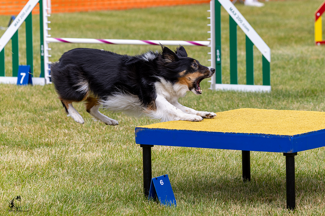 Rocket Shots Photography