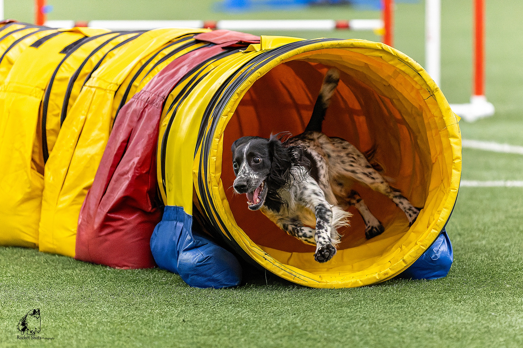 Rocket Shots Photography