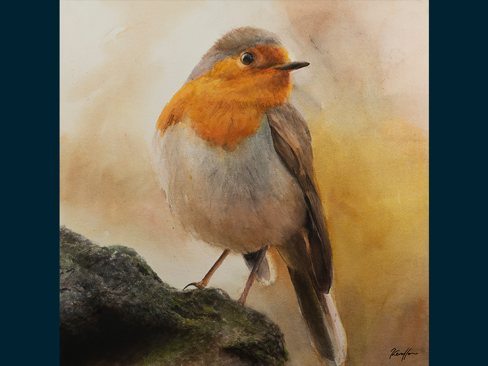 Robin Fine Art Prints