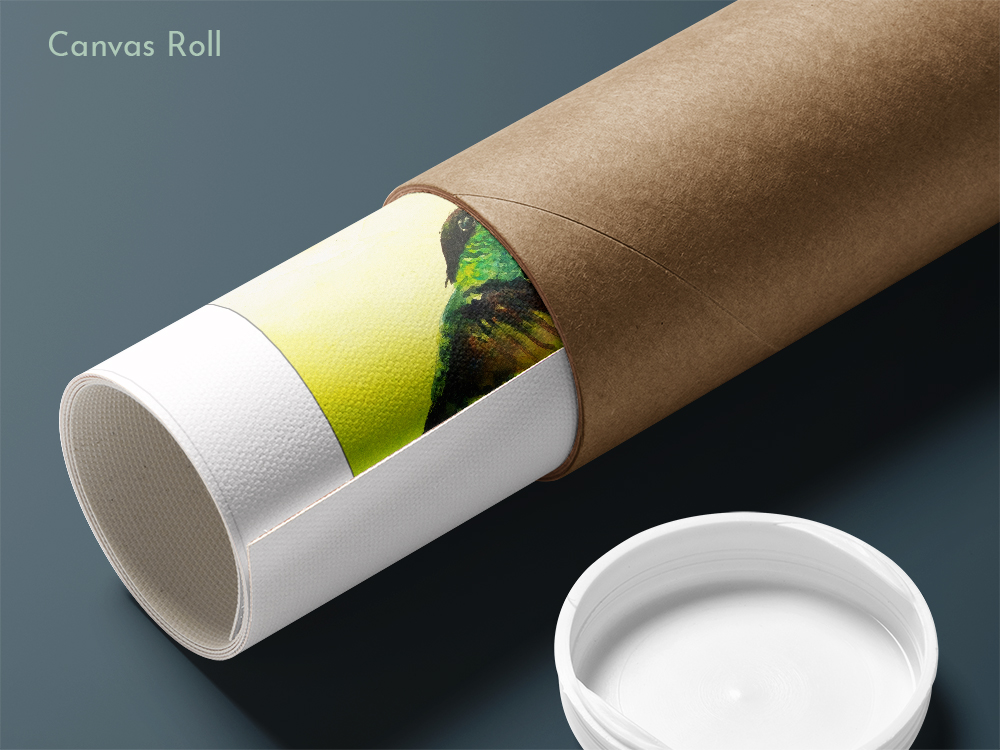 Streamertail rolled canvas prints