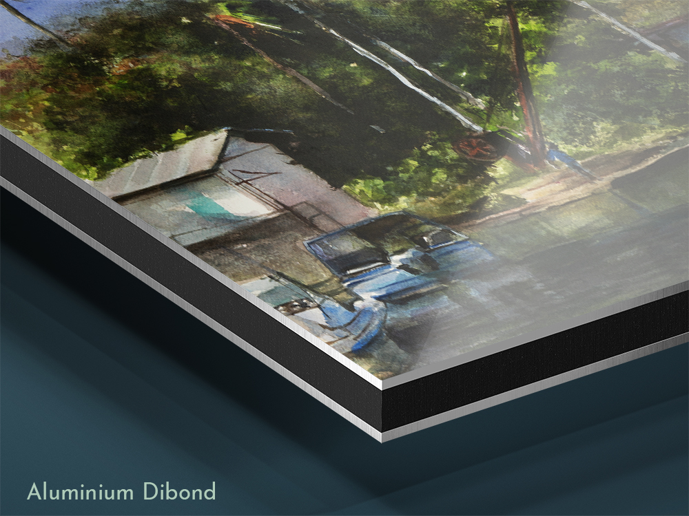 Streamertail acrylic and dibond panel prints