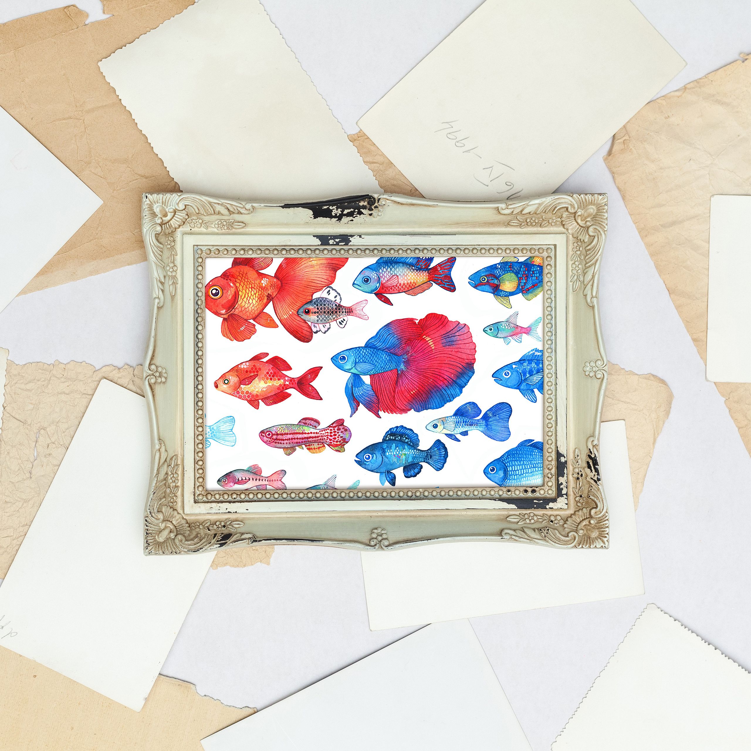 8.5x11" freshwater fish watercolour art print