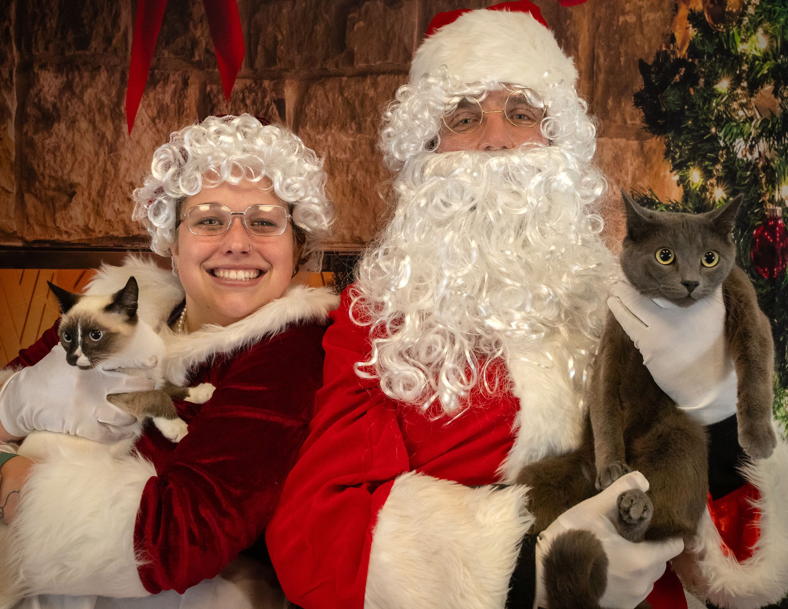 Michael Tietgen Photography