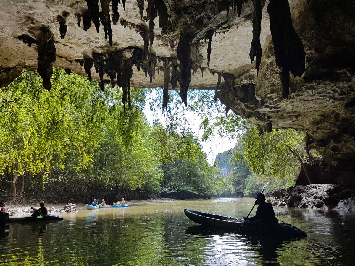 19-Jan - Kayaking in Bor Thor mangrove river | Travel blog | Tamás Boczkó