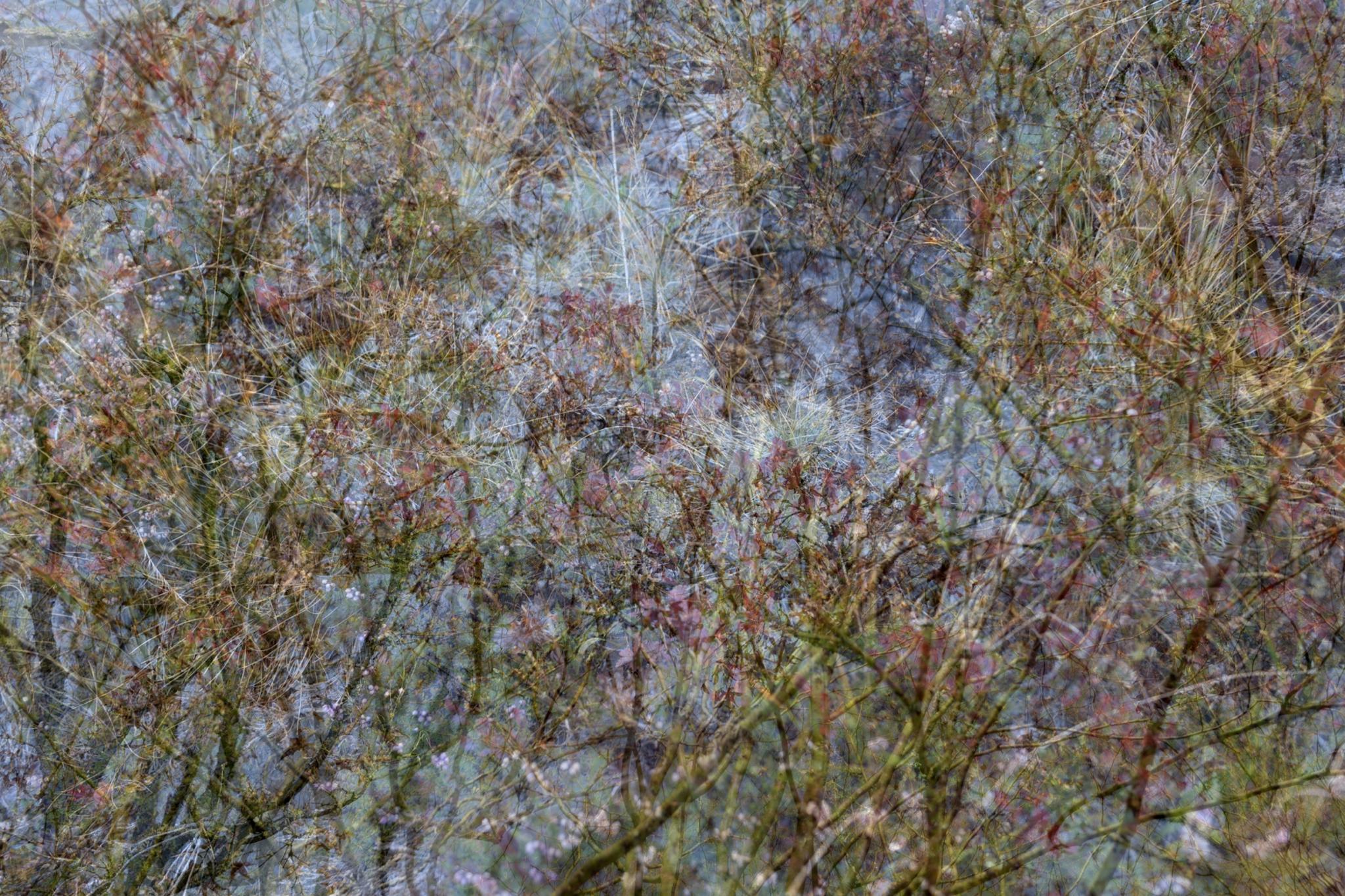 Thomas Teske photography