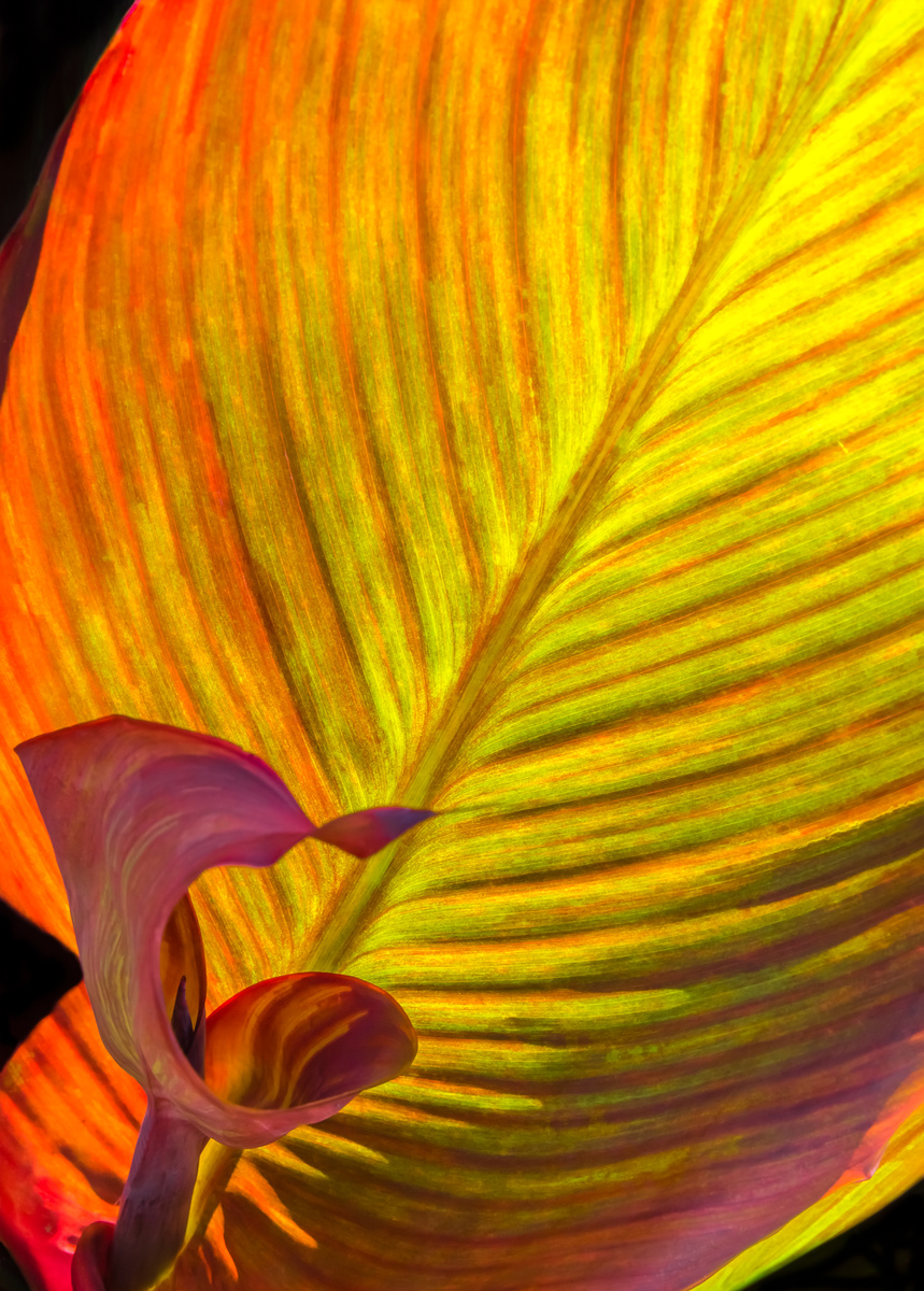 rob houghton photography