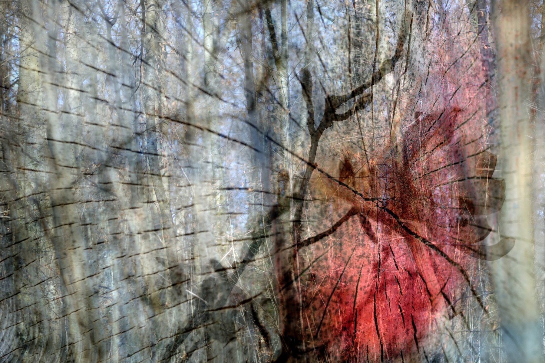 Selected works by Thomas Teske created in 2013